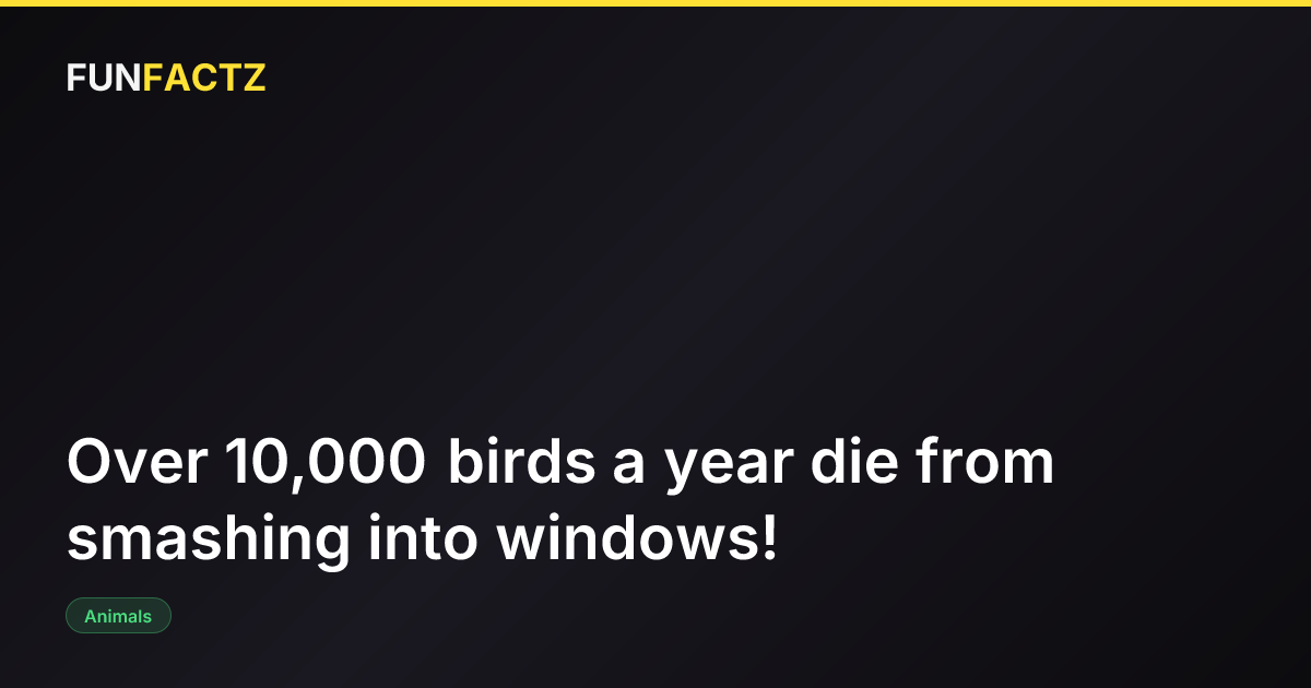 Birds Die From Window Collisions - Shocking Stats | Fun Facts