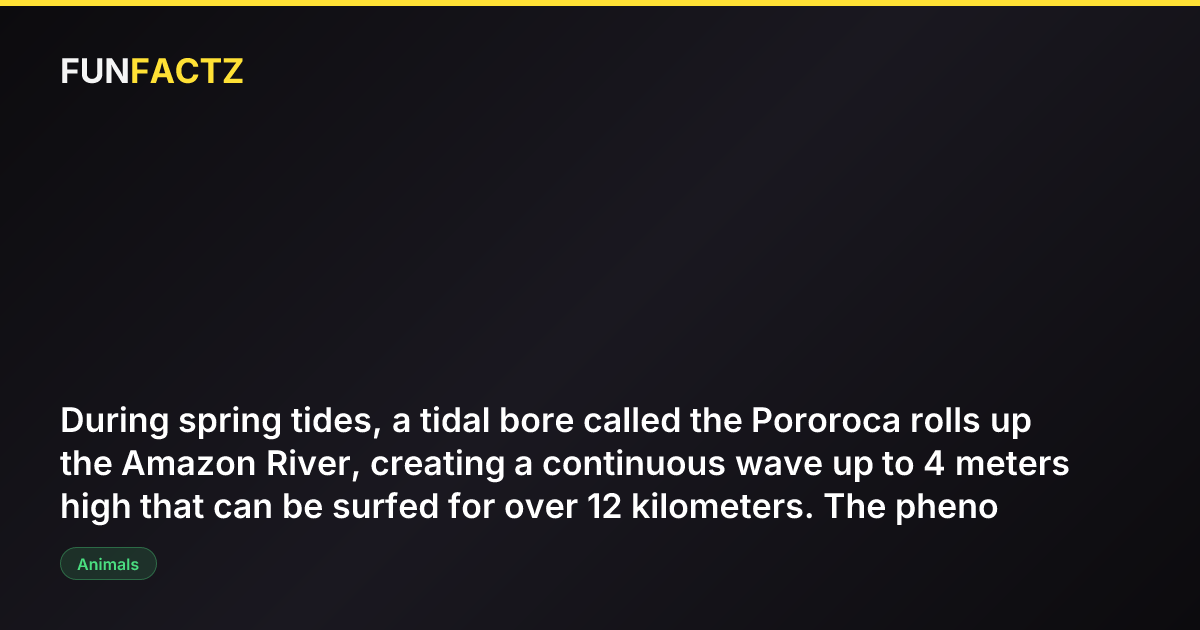 Amazon Pororoca: The 12km Surfable Tidal Wave | Fun Facts