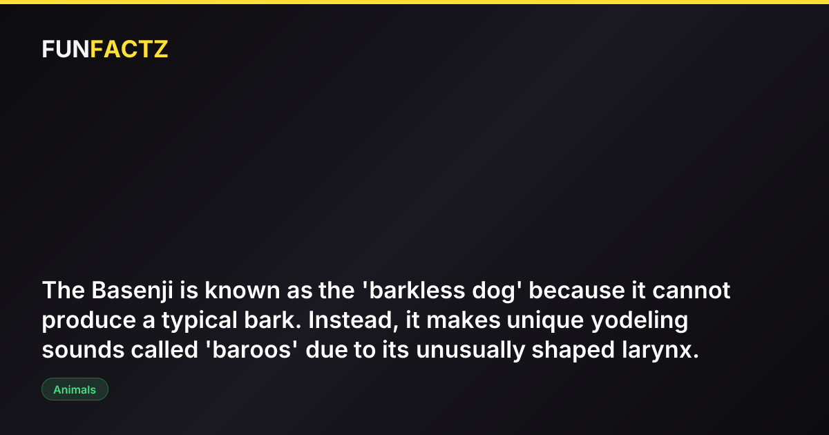 Why Can't Basenji Dogs Bark? The Yodeling Dog | Fun Facts