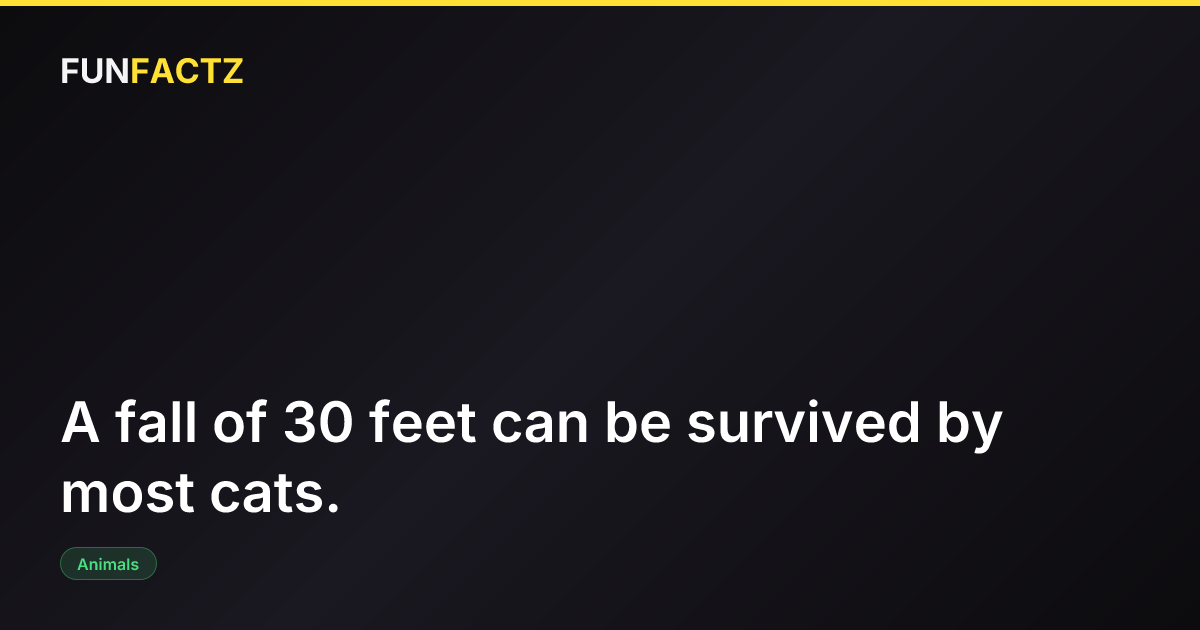 How Cats Survive 30-Foot Falls | Fun Facts