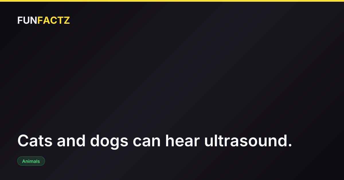 Can Cats and Dogs Hear Ultrasound? | Fun Facts