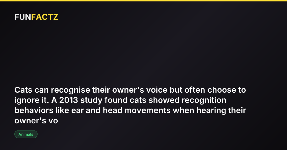 Cats Recognize Your Voice But Ignore You | Fun Facts