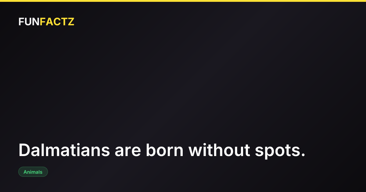 Dalmatians Are Born Without Spots | Fun Facts