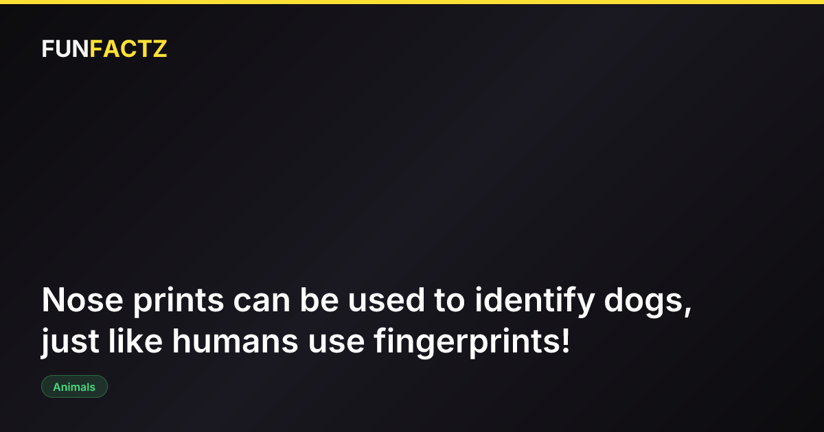 Dog Nose Prints | Fun Facts