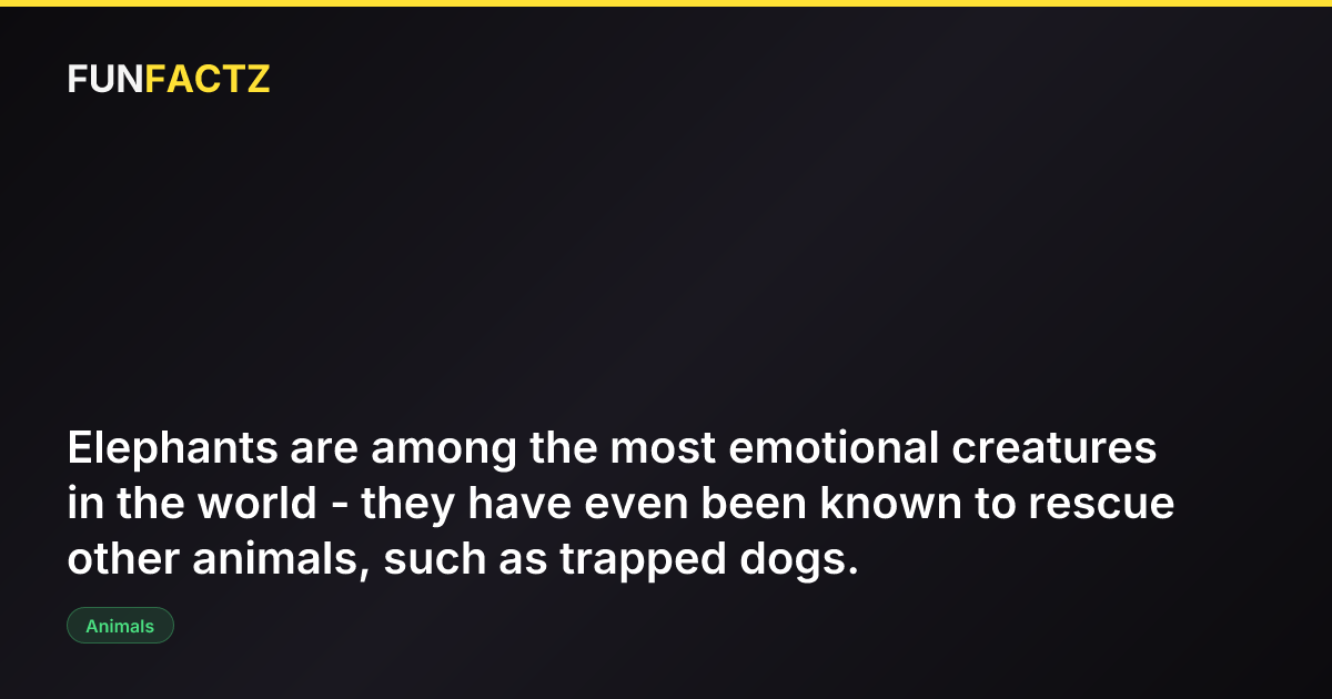 Elephants Rescue Other Animals | Fun Facts