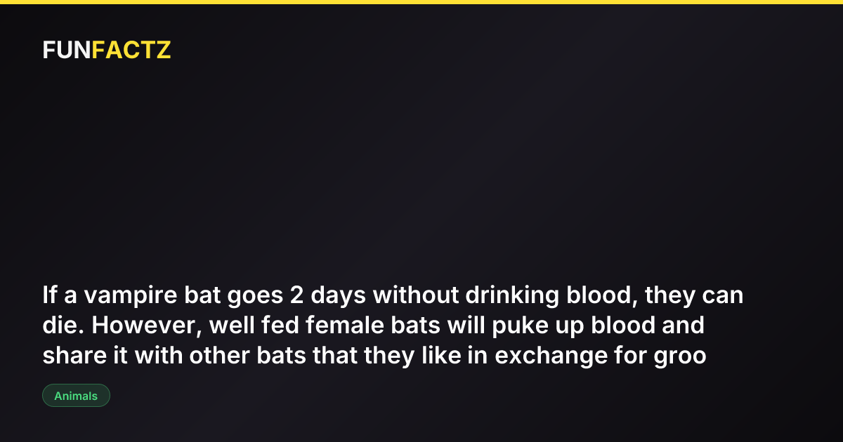 Vampire Bat Blood Sharing & Survival | Fun Facts