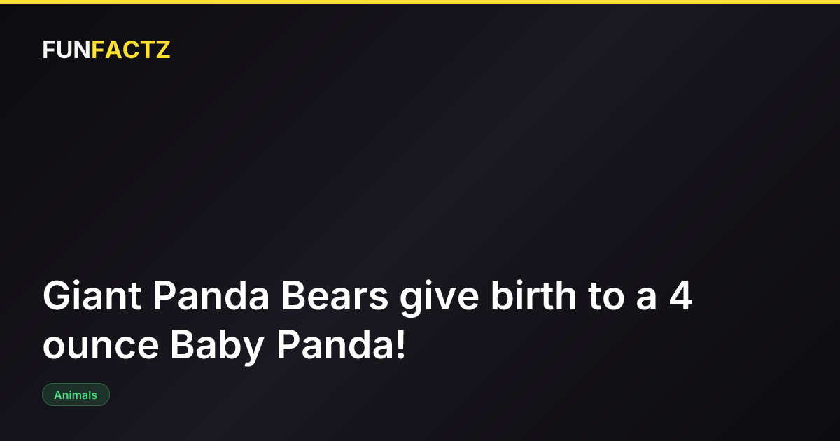 Giant Pandas Birth 4-Ounce Babies | Fun Facts
