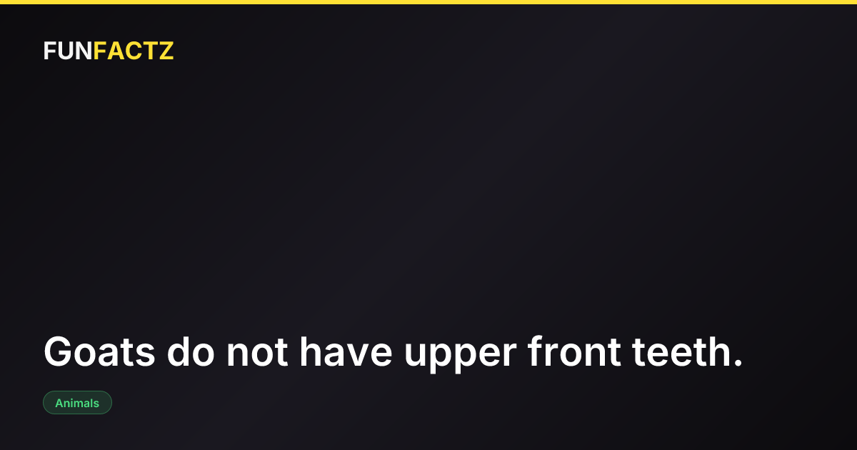 Why Goats Don't Have Upper Front Teeth | Fun Facts