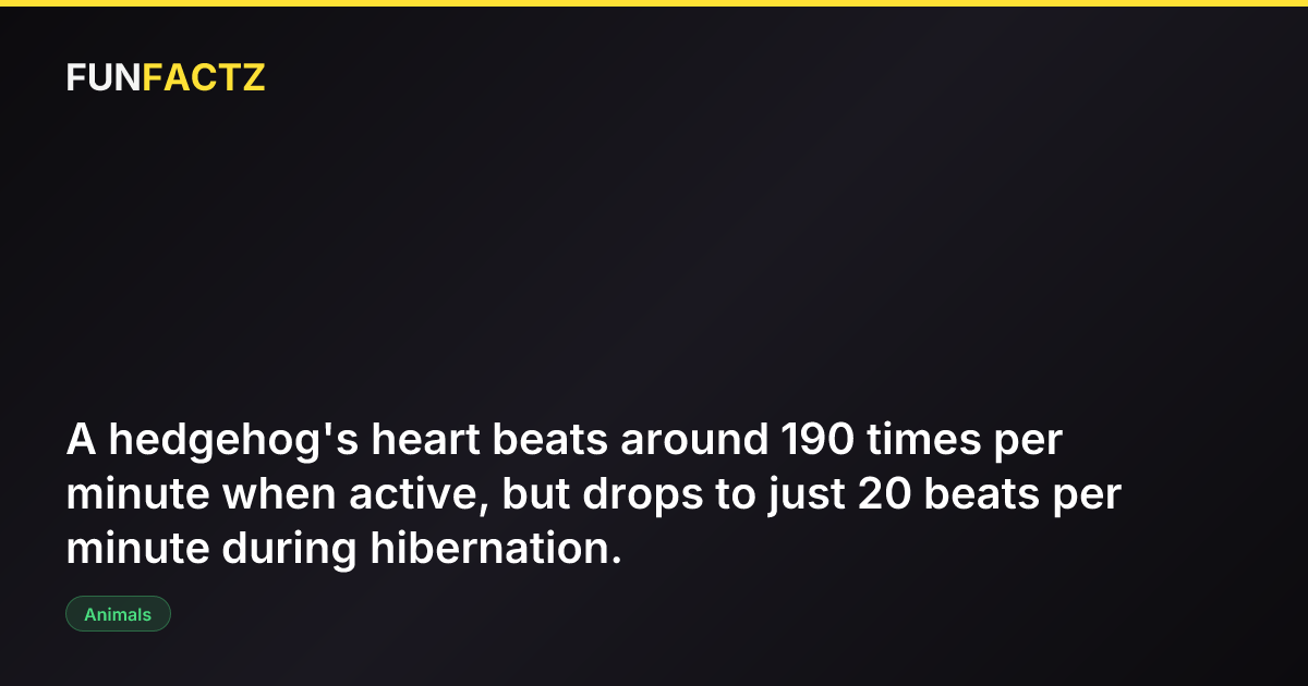 Hedgehog Heart Rate: 190 to 20 BPM | Fun Facts