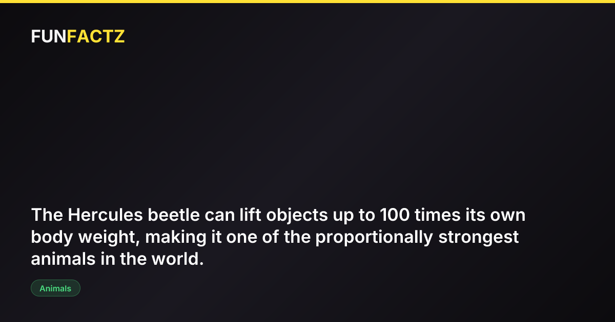 Hercules Beetle Strength: How Much Can It Lift? | Fun Facts