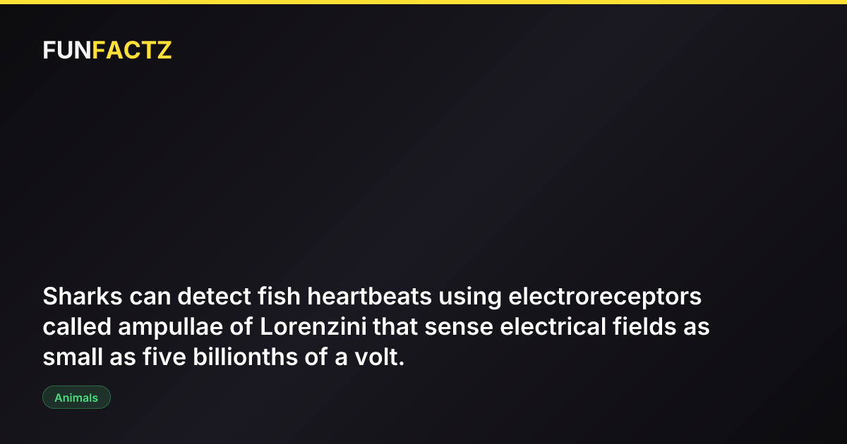 Sharks Detect Fish Heartbeats With Electric Sense | Fun Facts