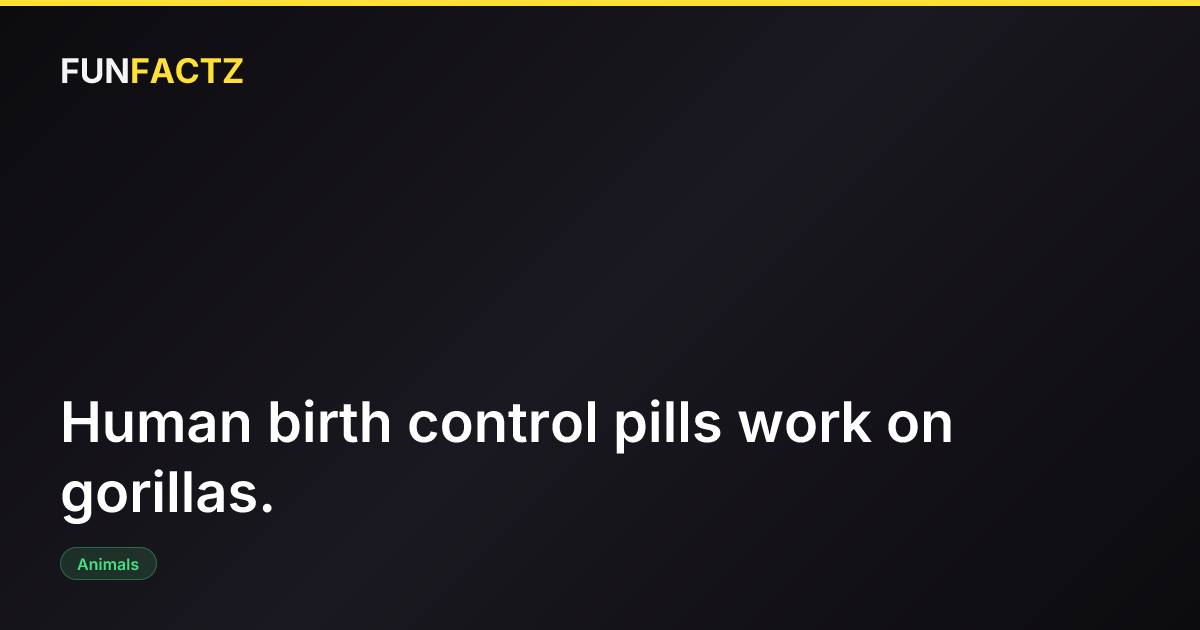 Human Birth Control Pills Work on Gorillas | Fun Facts