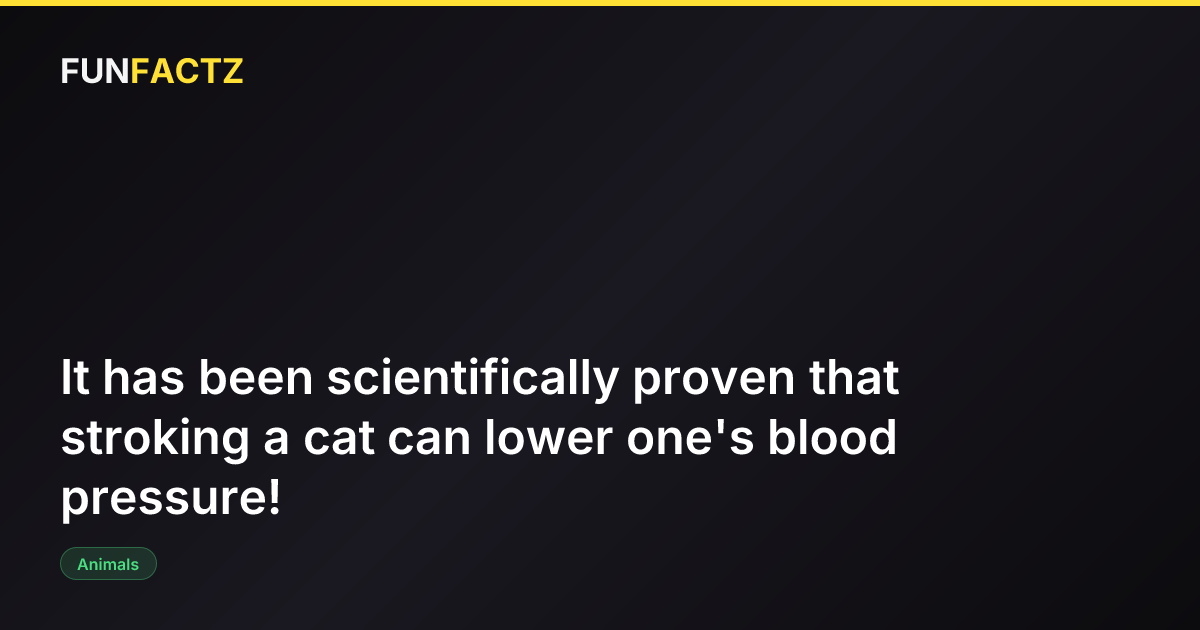 Cats Lower Blood Pressure: Science-Backed Health Benefits