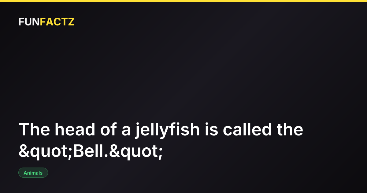Jellyfish Bell: Anatomy & Fun Facts | Fun Facts