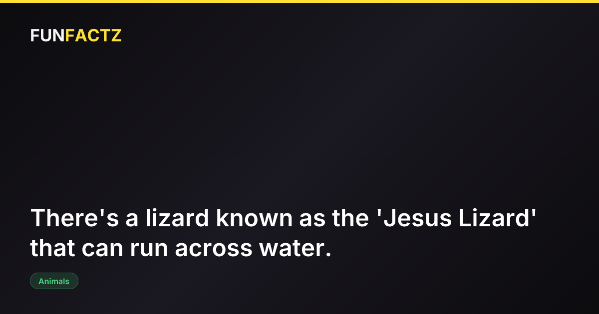 Basilisk Lizard: The Real 'Jesus Lizard' | Fun Facts