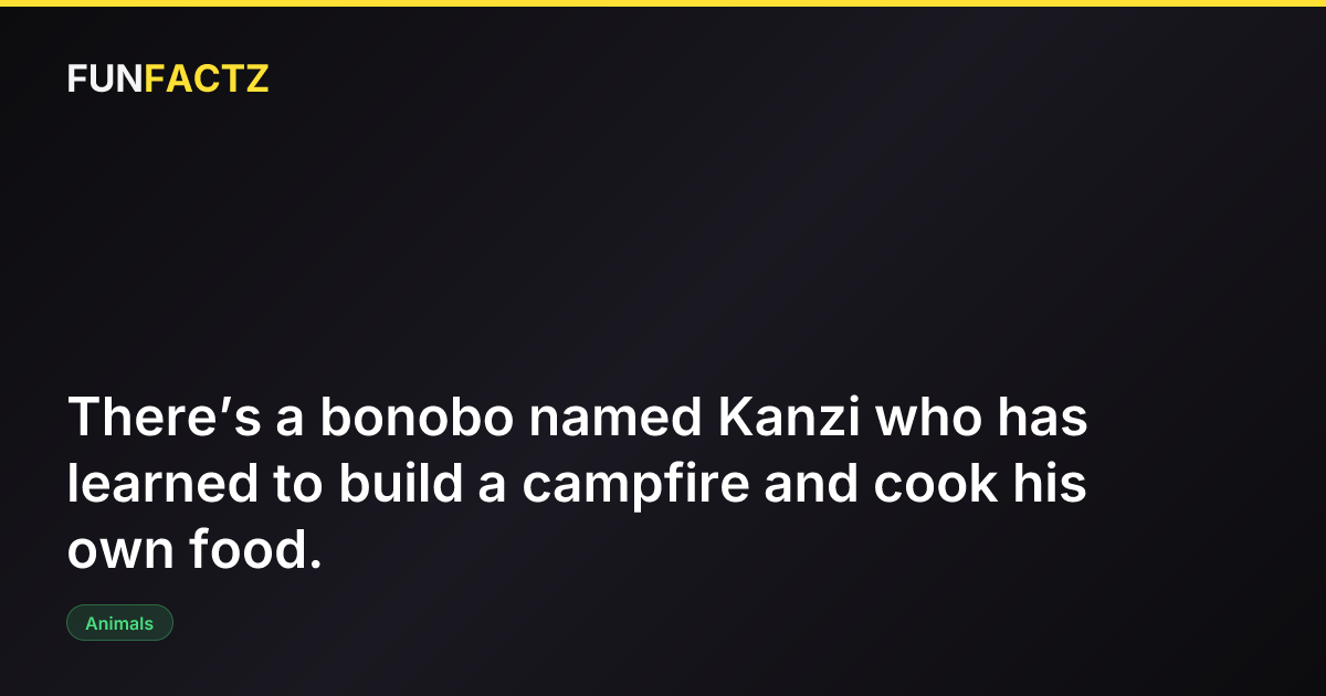 Kanzi the Bonobo Could Build Fires and Cook | Fun Facts