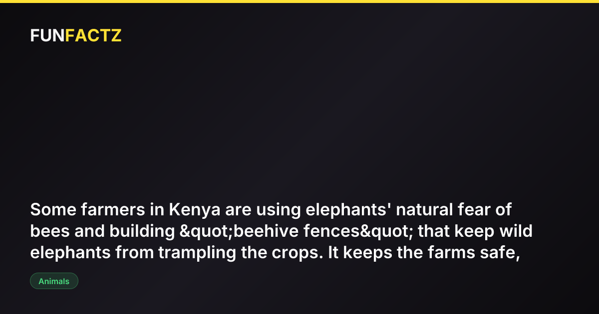 Beehive Fences | Fun Facts