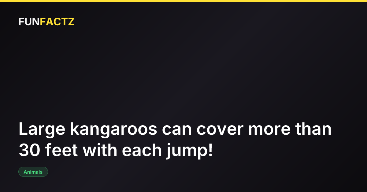 How Far Can Kangaroos Jump? 30+ Feet! | Fun Facts