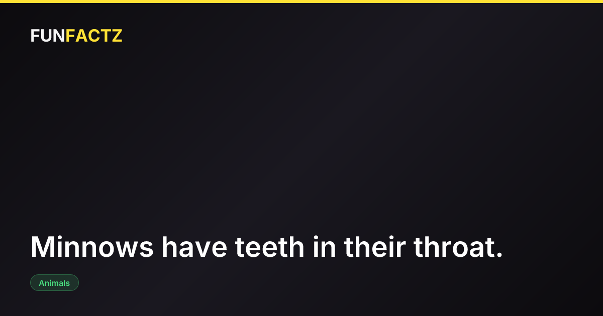 Minnows Have Teeth in Their Throat | Fun Facts