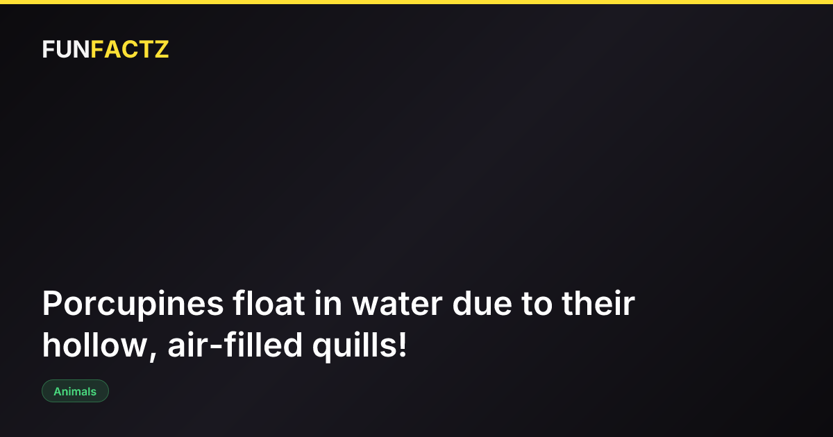 Why Porcupines Float in Water | Fun Facts