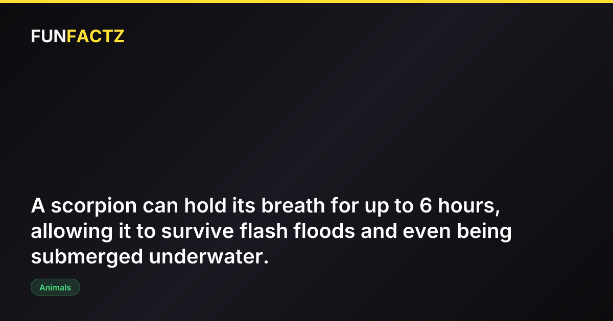 Scorpions Can Hold Their Breath for 6 Hours | Fun Facts