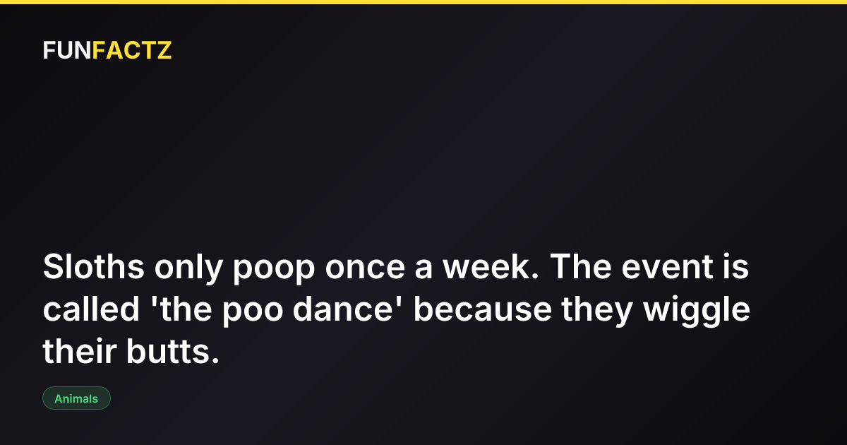 Sloths Poop Once a Week With a Wiggle Dance | Fun Facts
