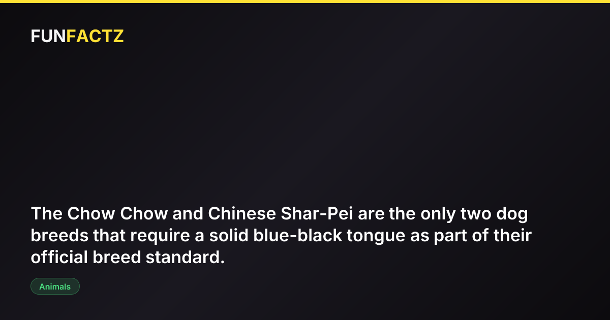Two Dog Breeds With Blue-Black Tongues | Fun Facts