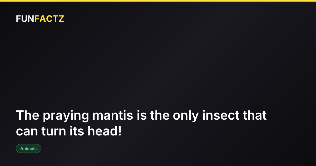 Praying Mantis: Only Insect That Can Turn Its Head | Fun Facts