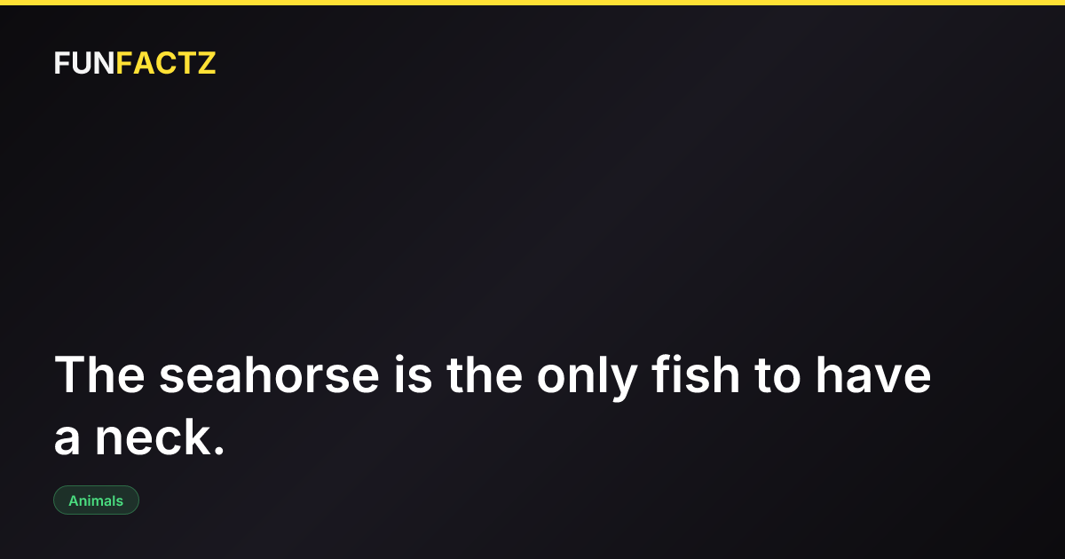 Seahorse Neck: A Unique Fish Feature | Fun Facts
