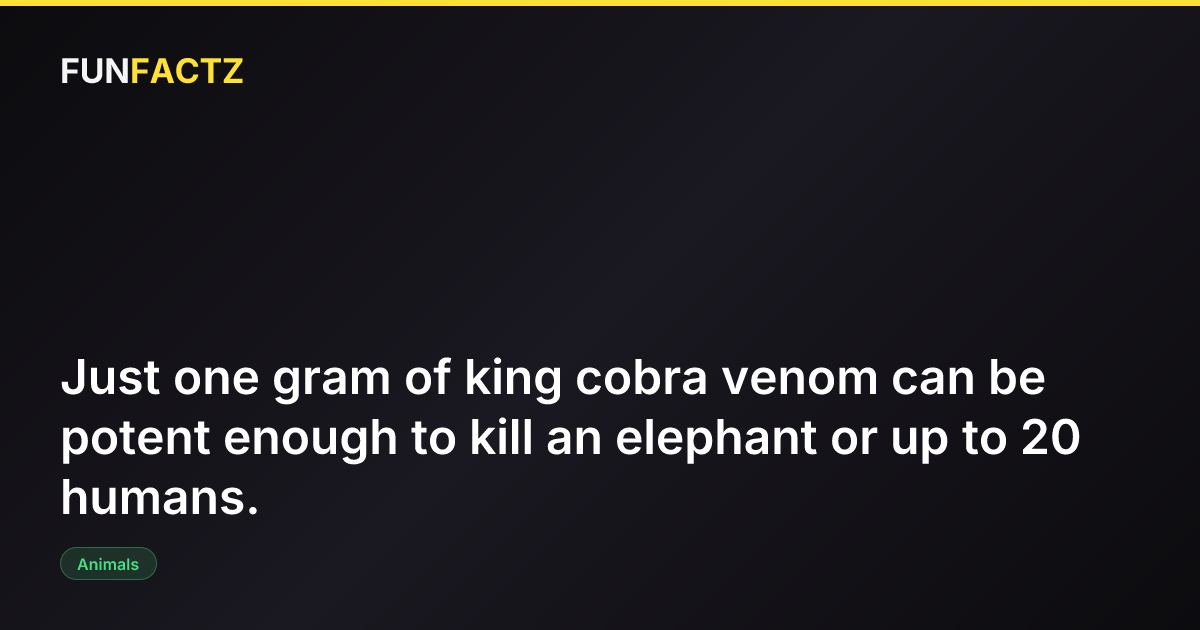 King Cobra Venom: How Deadly is One Gram? | Fun Facts
