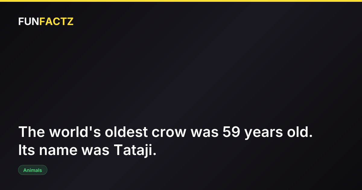 Tata the Crow Lived 59 Years | Fun Facts