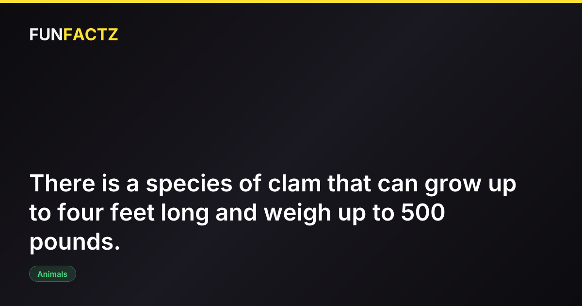 Giant Clams Can Weigh 500 Pounds | Fun Facts