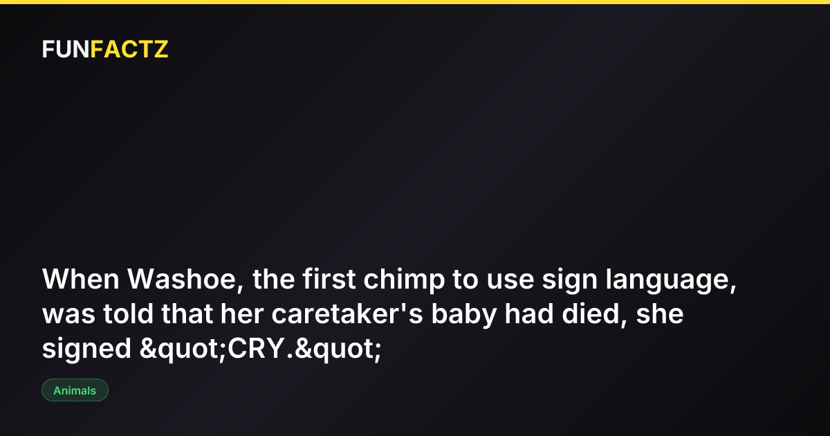 Washoe: Chimp Sign Language & Empathy | Fun Facts