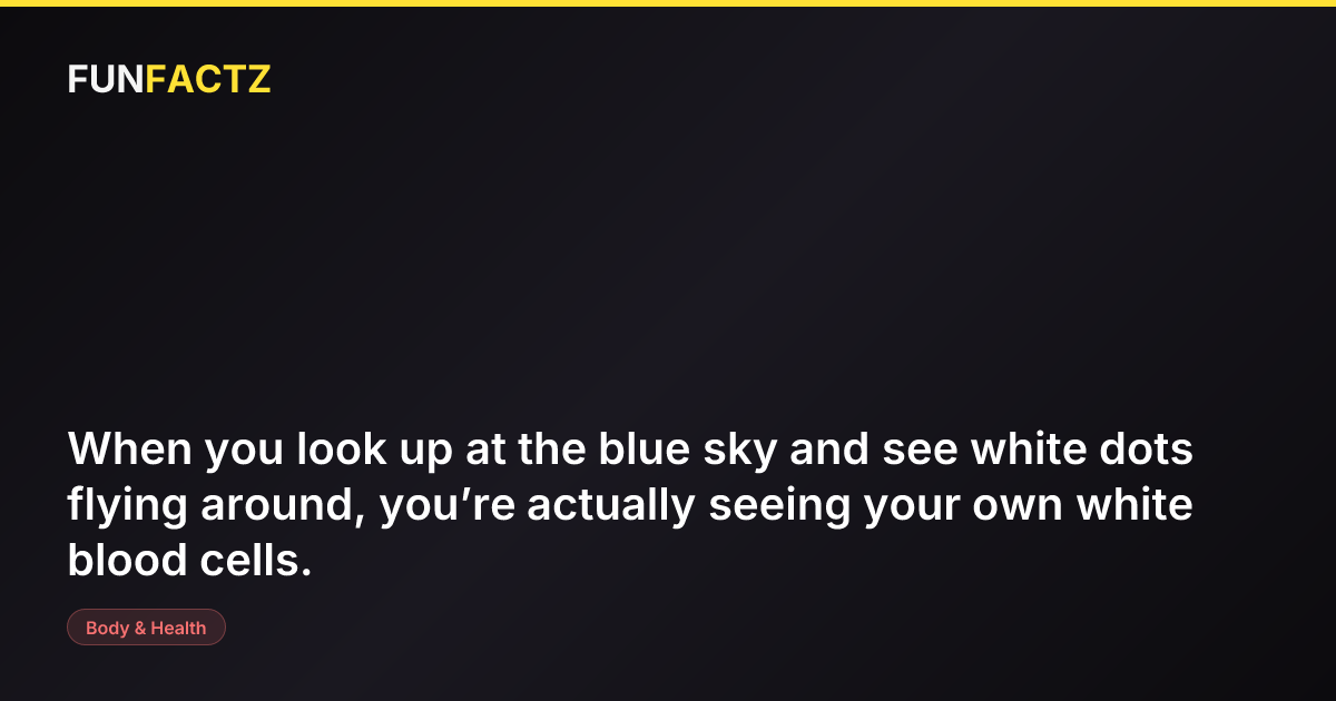 You Can See Your Own White Blood Cells | Fun Facts