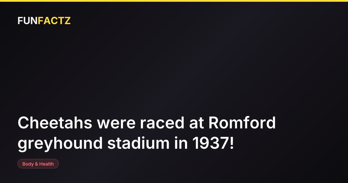 Cheetahs Raced at Romford Stadium in 1937 | Fun Facts