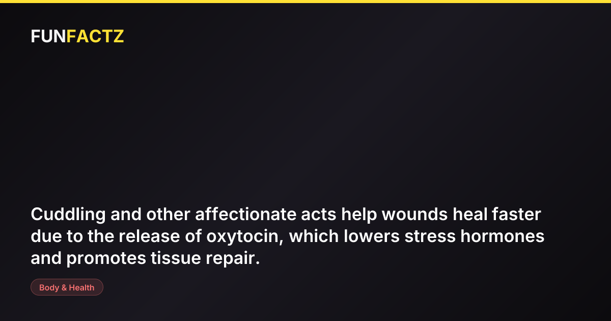 Cuddling Helps Wounds Heal Faster | Fun Facts