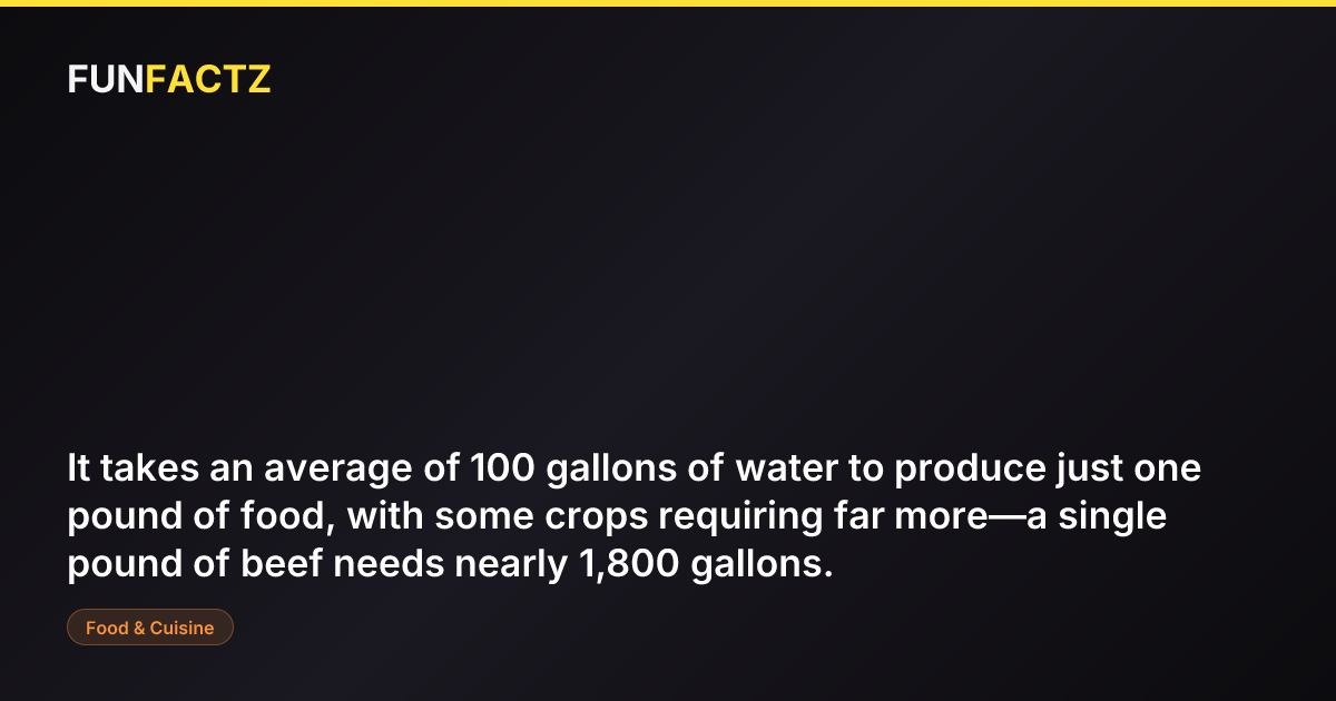 How Much Water Does It Take to Grow Food? | Fun Facts