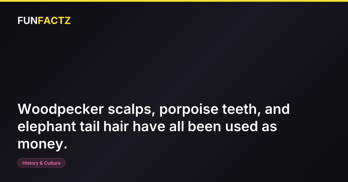 Woodpecker Scalps & Animal Parts Used as Money | Fun Facts