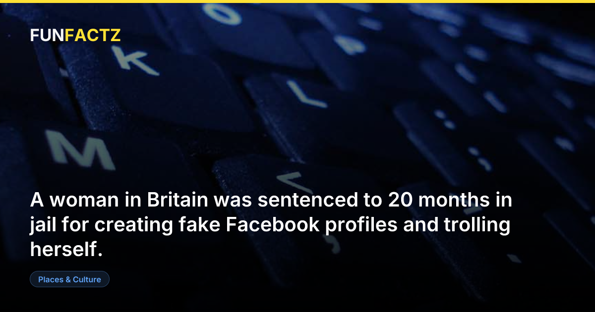 Woman Jailed for Trolling Herself on Facebook | Fun Facts