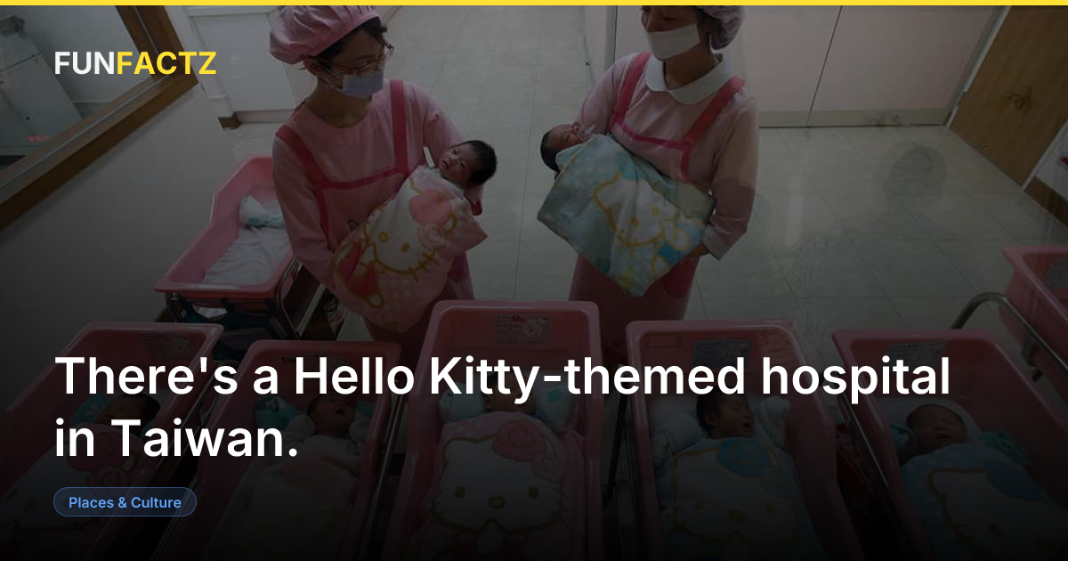 Taiwan's Hello Kitty Maternity Hospital | Fun Facts
