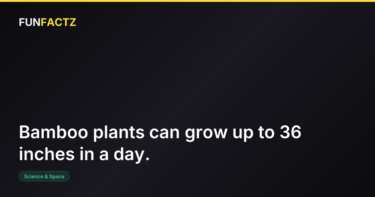 Bamboo Grows 36 Inches Per Day | Fun Facts