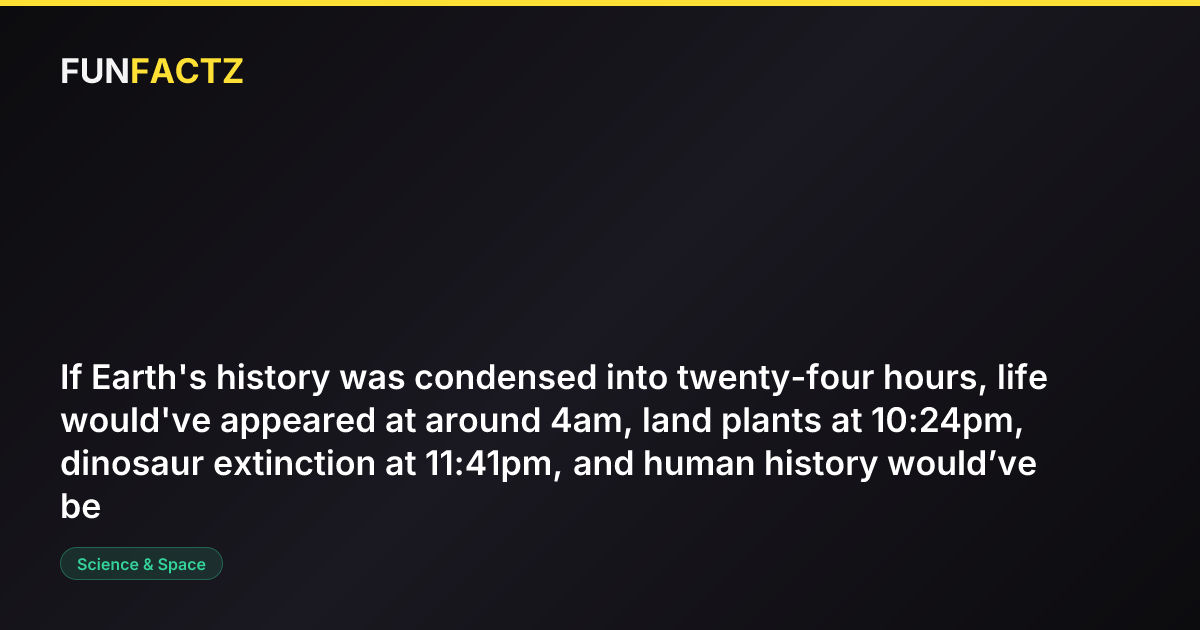 Earth's History in 24 Hours | Fun Facts