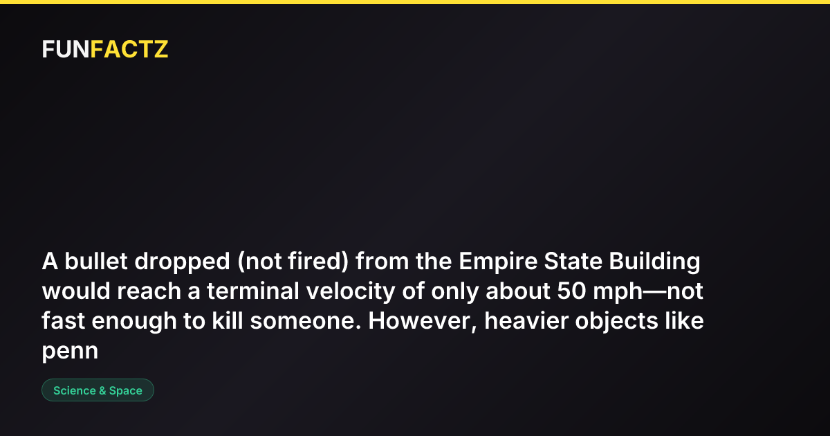 Can a Bullet Dropped from the Empire State Building Kill? | Fun Facts