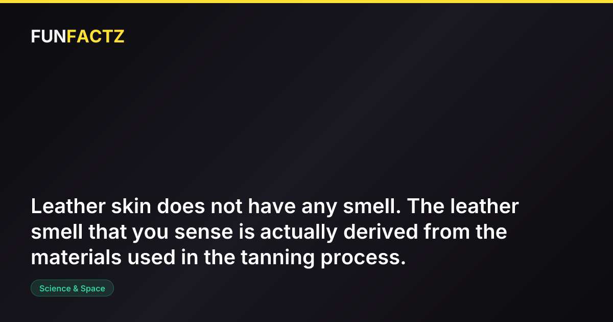 Leather Smell Comes From Tanning, Not Hide | Fun Facts