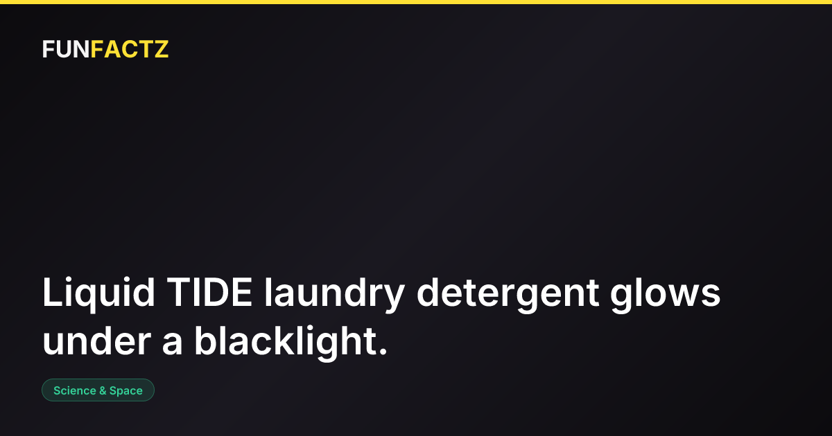 Why Tide Glows Under Blacklight | Fun Facts