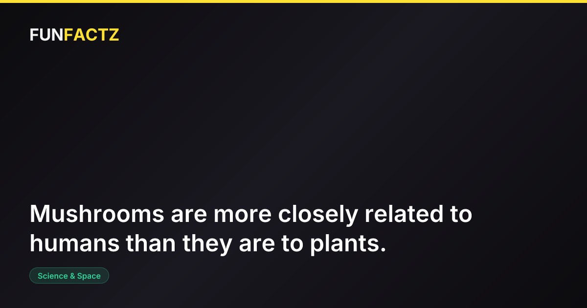 Mushrooms & Humans: Closer Than You Think | Fun Facts