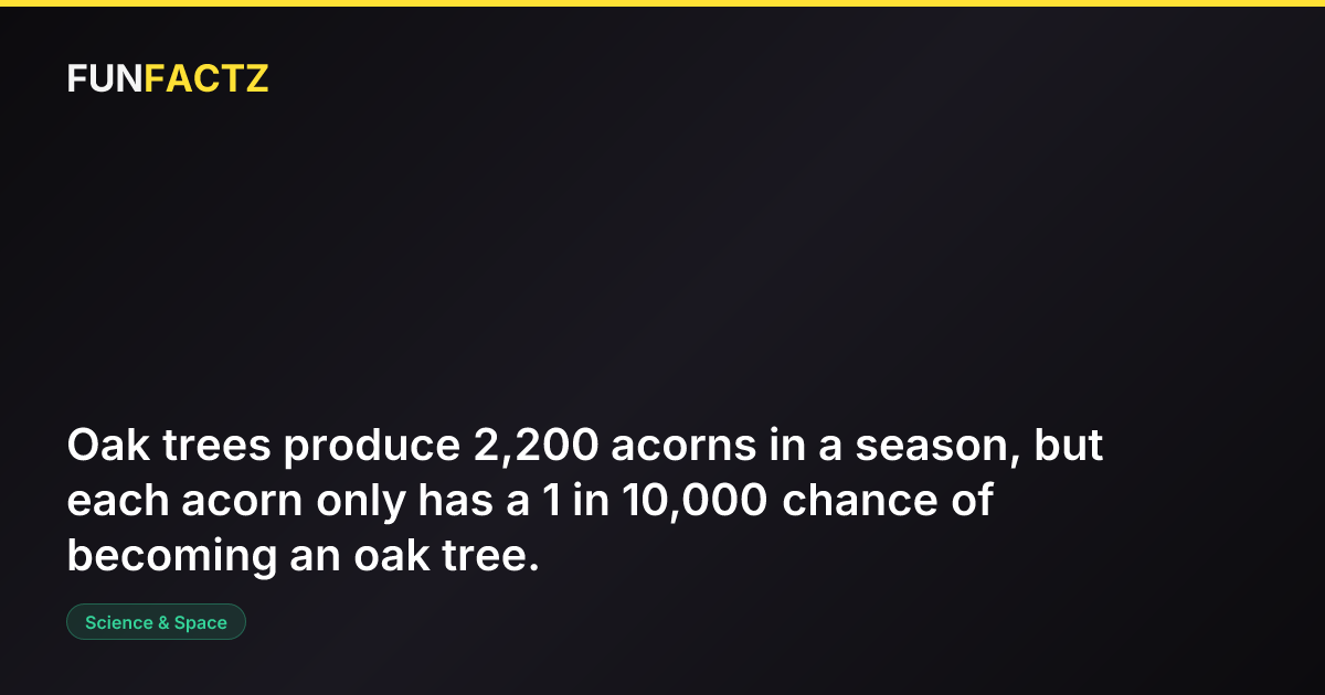 Why Only 1 in 10,000 Acorns Becomes an Oak Tree | Fun Facts