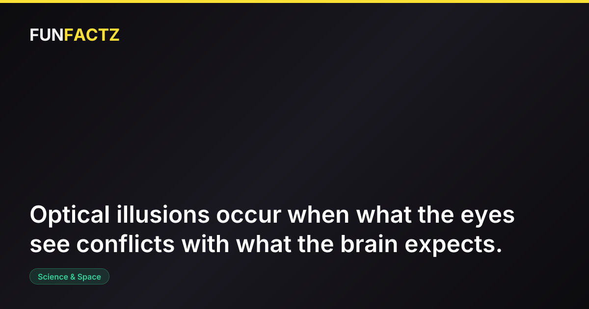 Why Your Brain Falls for Optical Illusions | Fun Facts