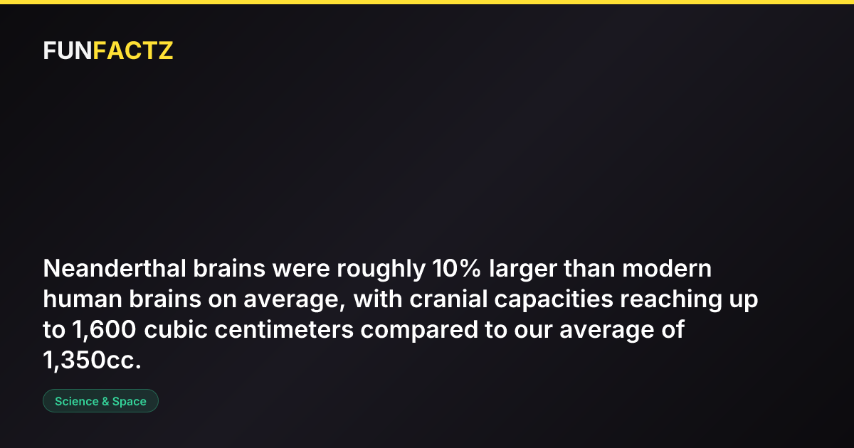 Neanderthals Had Bigger Brains Than Us | Fun Facts