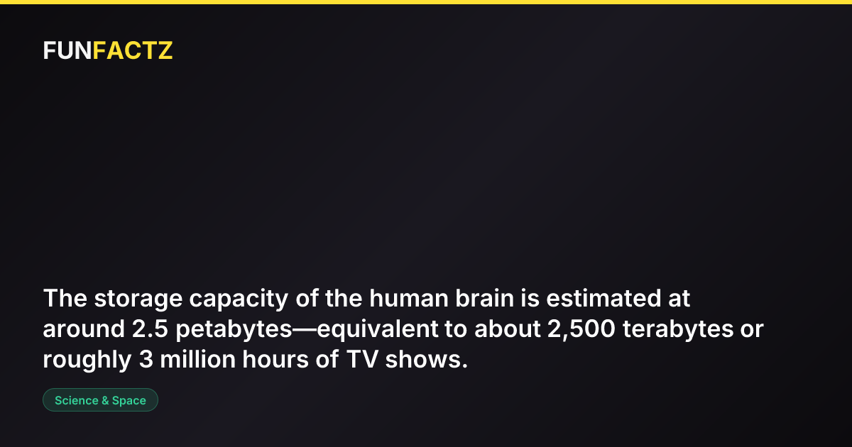 Human Brain Storage Capacity: 2.5 Petabytes | Fun Facts